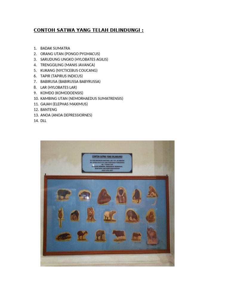 Tugas Study Tour 'Andra' | PDF