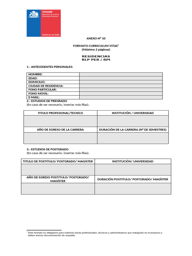 Anexo - 10 Formato CV | PDF