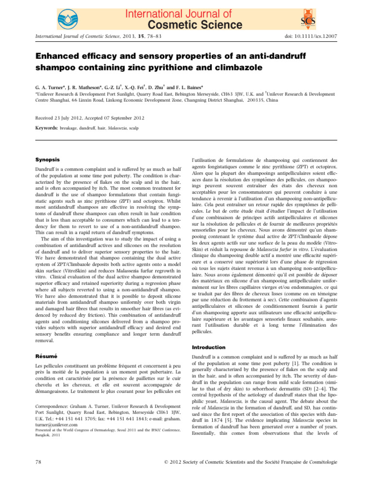 Zinc Pyrothione Anti Druff | PDF