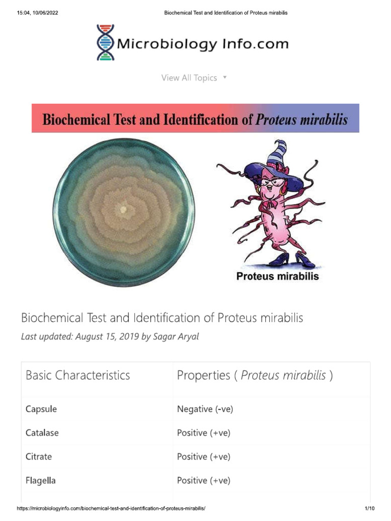 Biochemical Test and Identification of Proteus Mirabilis | PDF