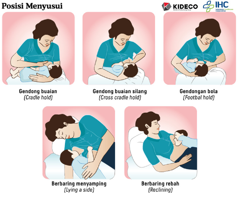 Posisi Menyusui | PDF