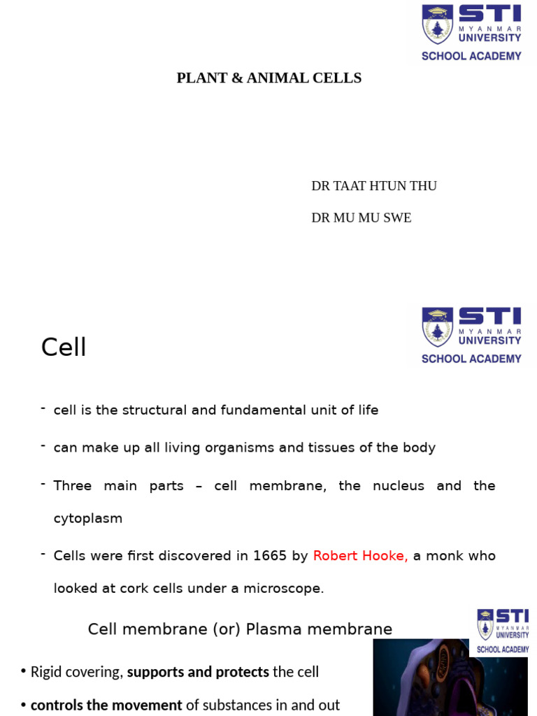 Ged Cell | PDF
