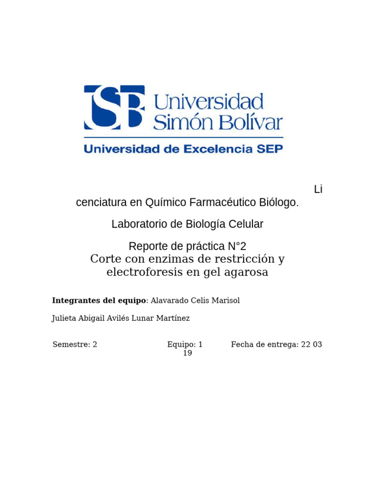Bio-previo.práctica 3 y 4 | PDF