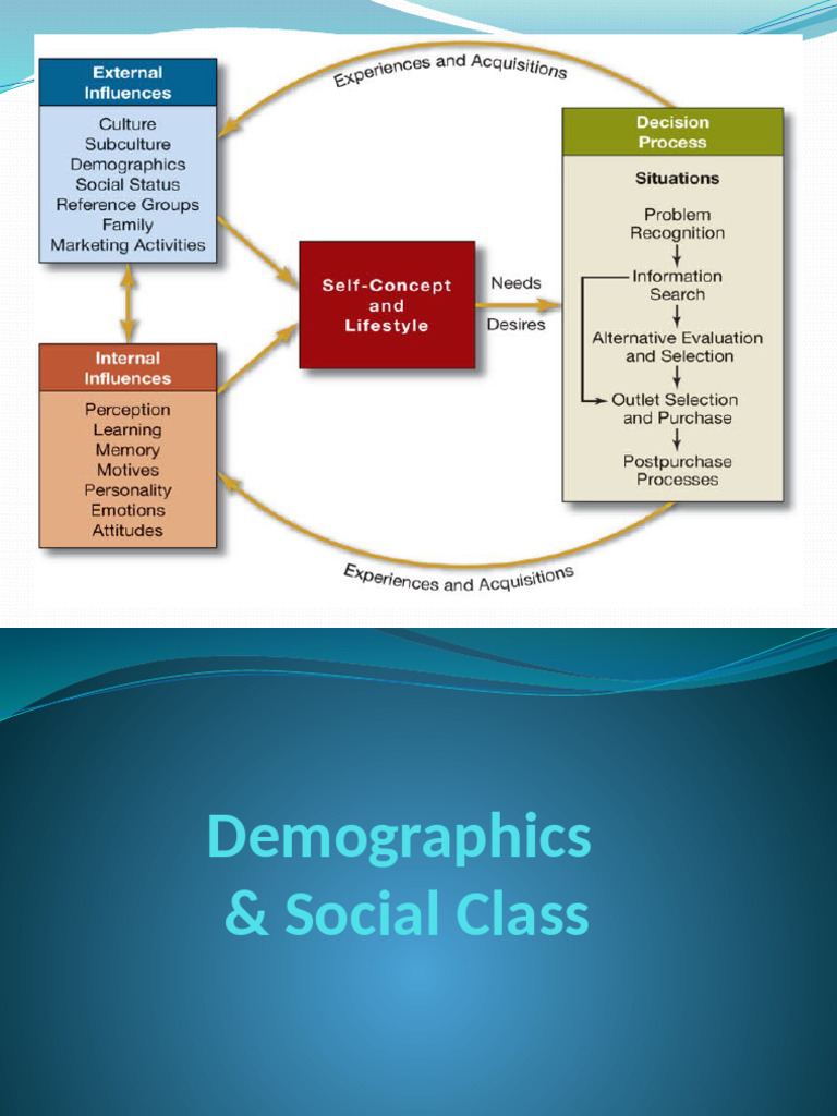 Demographics - Social Class | PDF