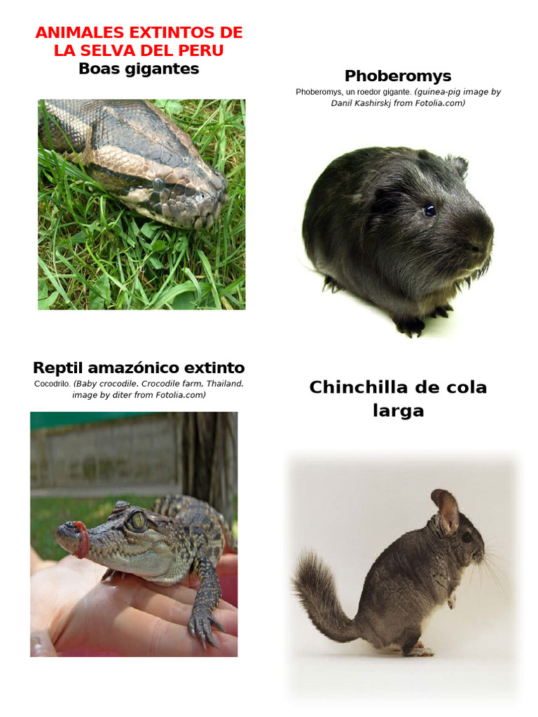 ANIMALES EXTINTOS DE LA SELVA DEL PERU | PDF