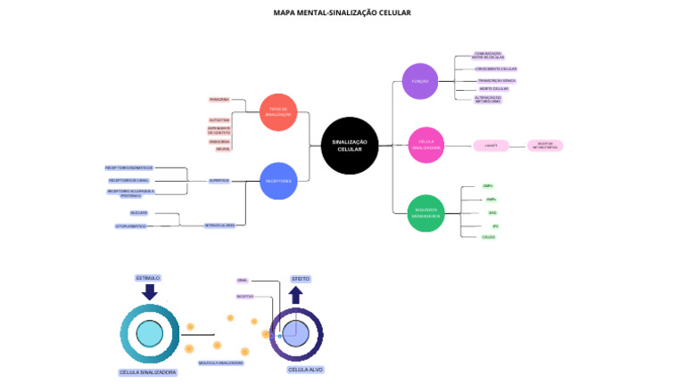 Mapa Mental (1) | PDF