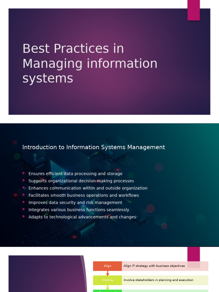 ITM - Managing Information Systems | PDF