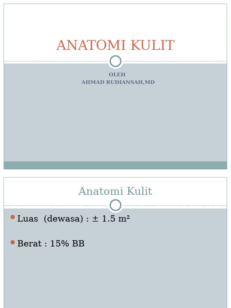 ANATOMI KULIT | PDF