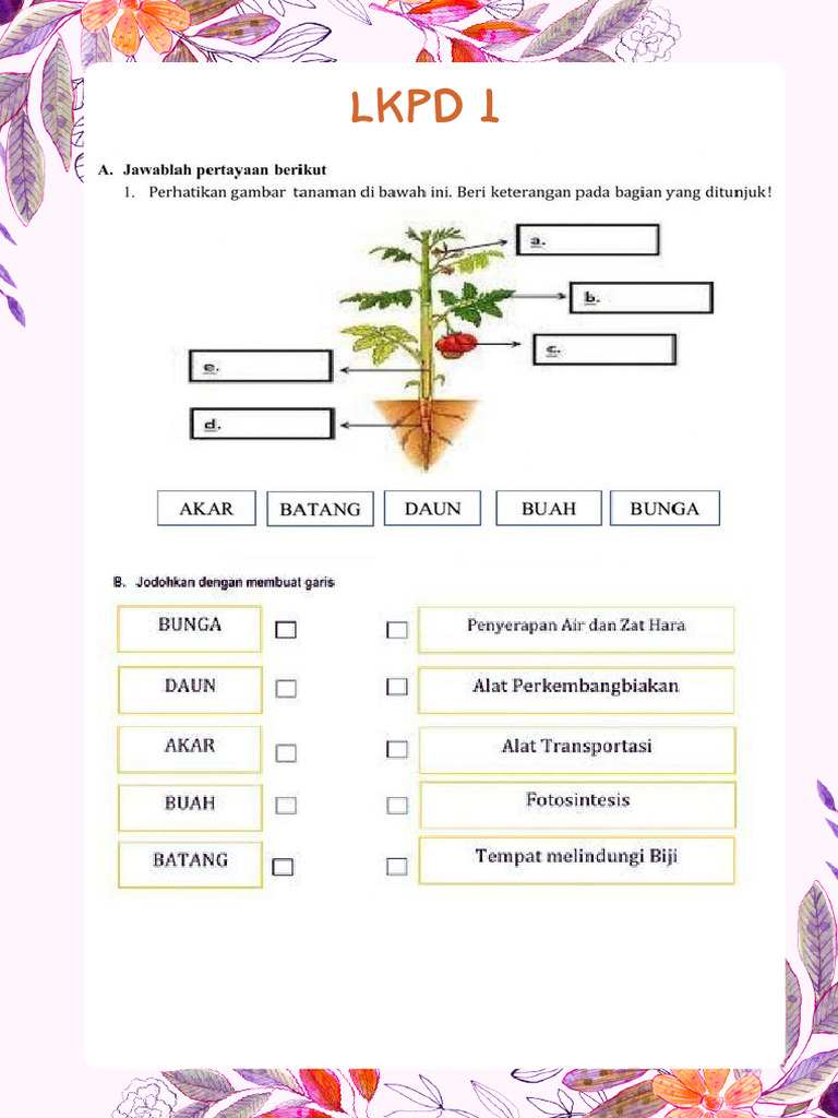 LKPD Tumbuhan | PDF
