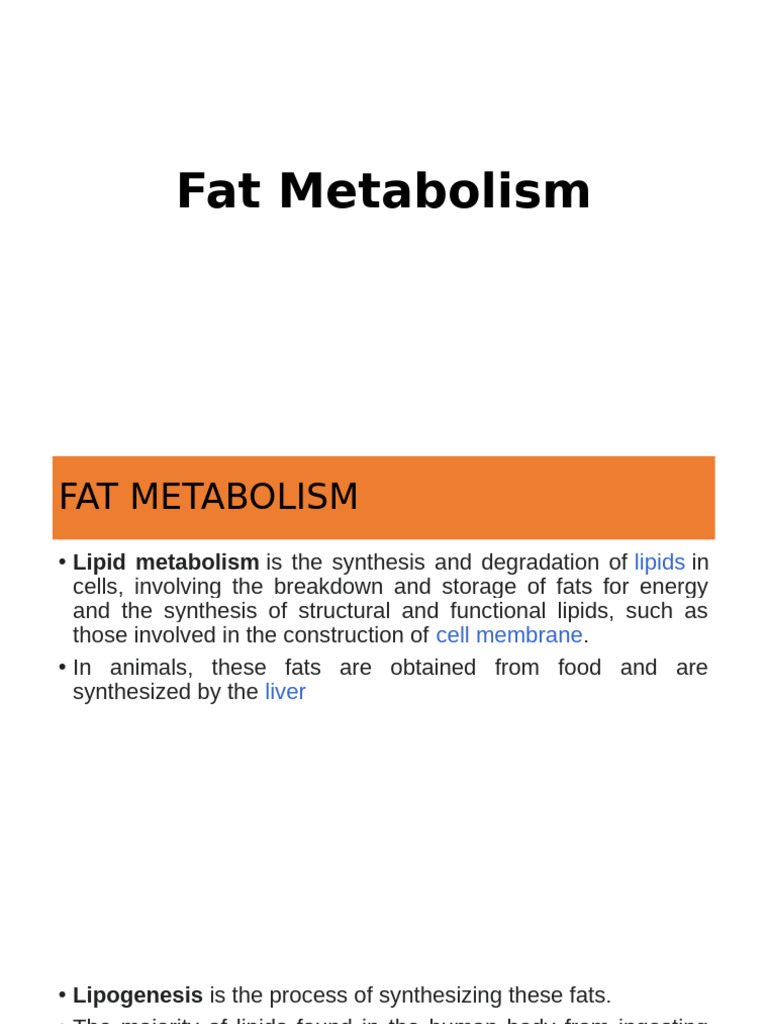 Fat Metabolism 2 | PDF