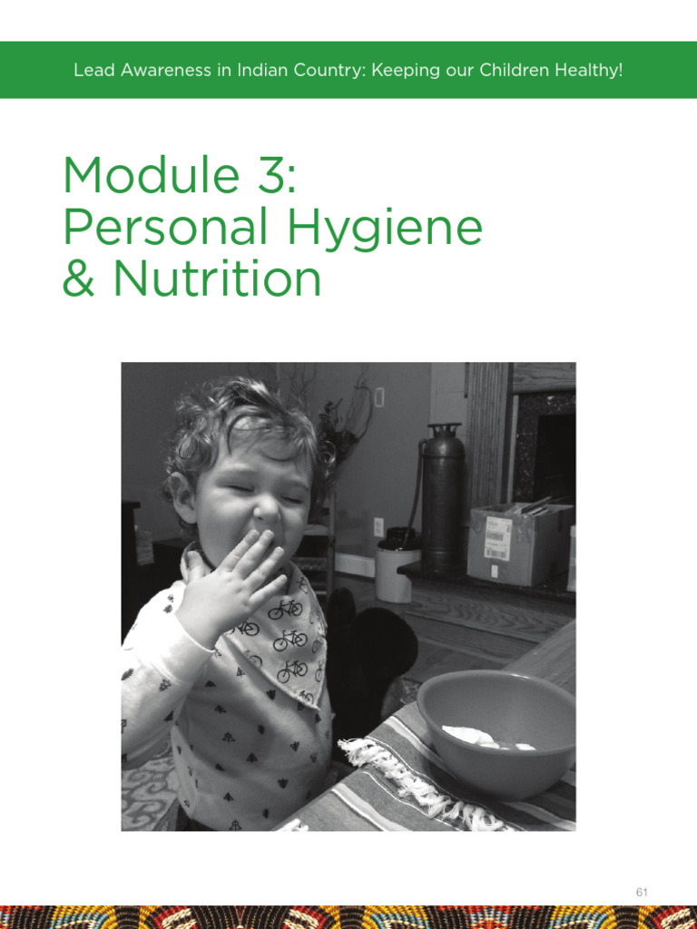 Module 3 Lesson Plan | PDF