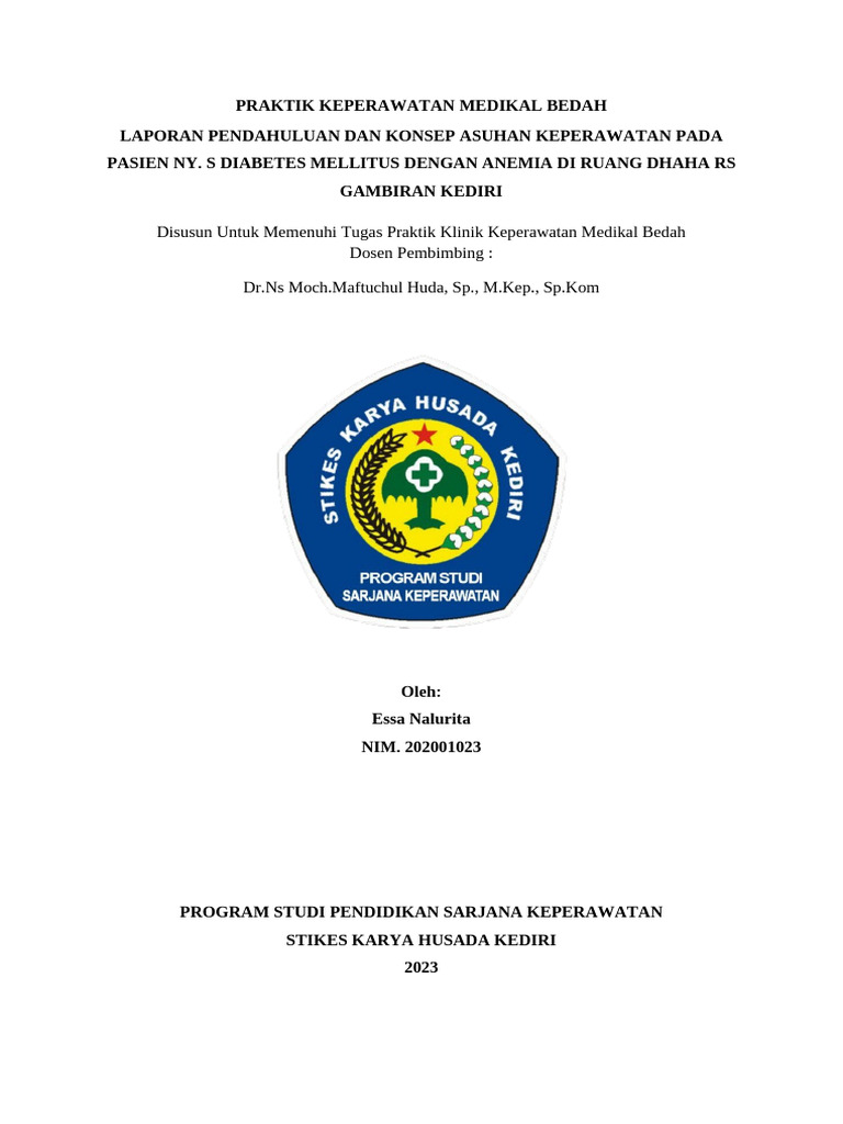 LP Anemia Revisi | PDF