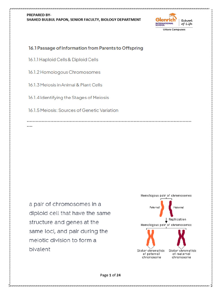 Inheritance and Meiosis Explained | PDF | Meiosis | Operon