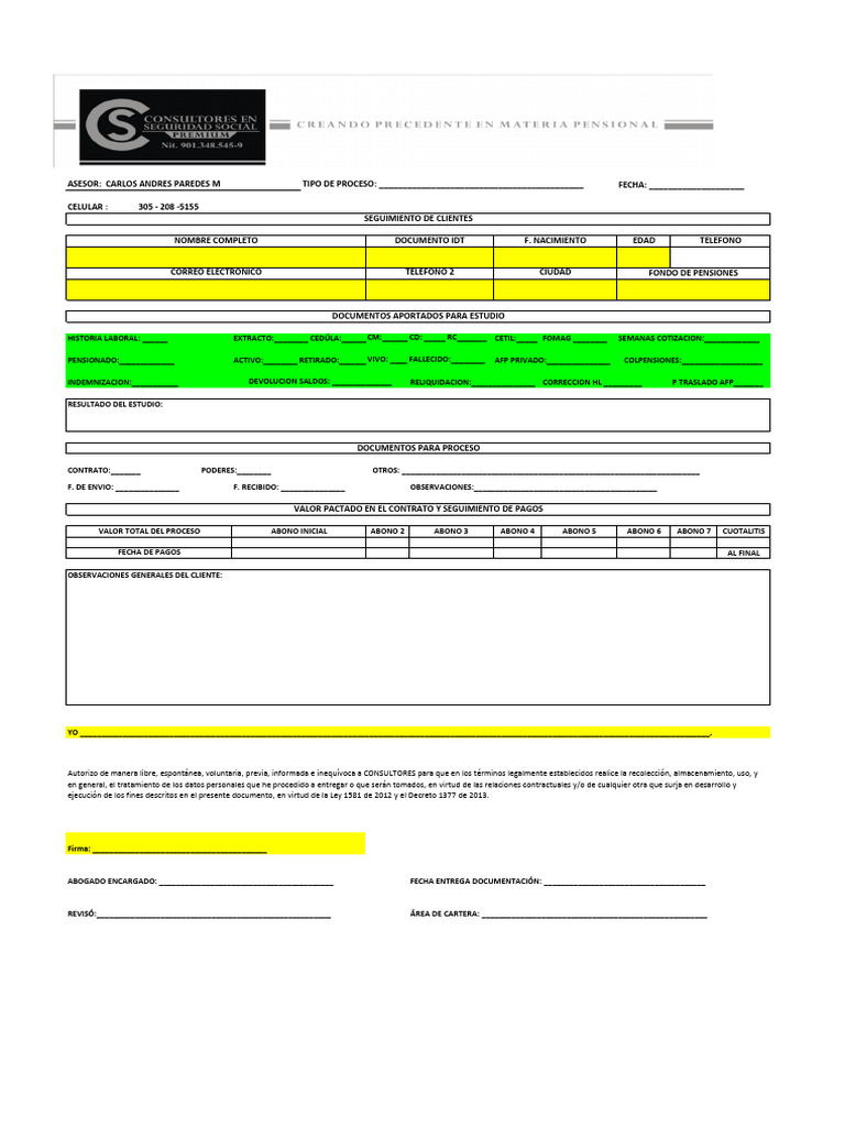 Ficha Ejemplo (4) - 062007 | PDF
