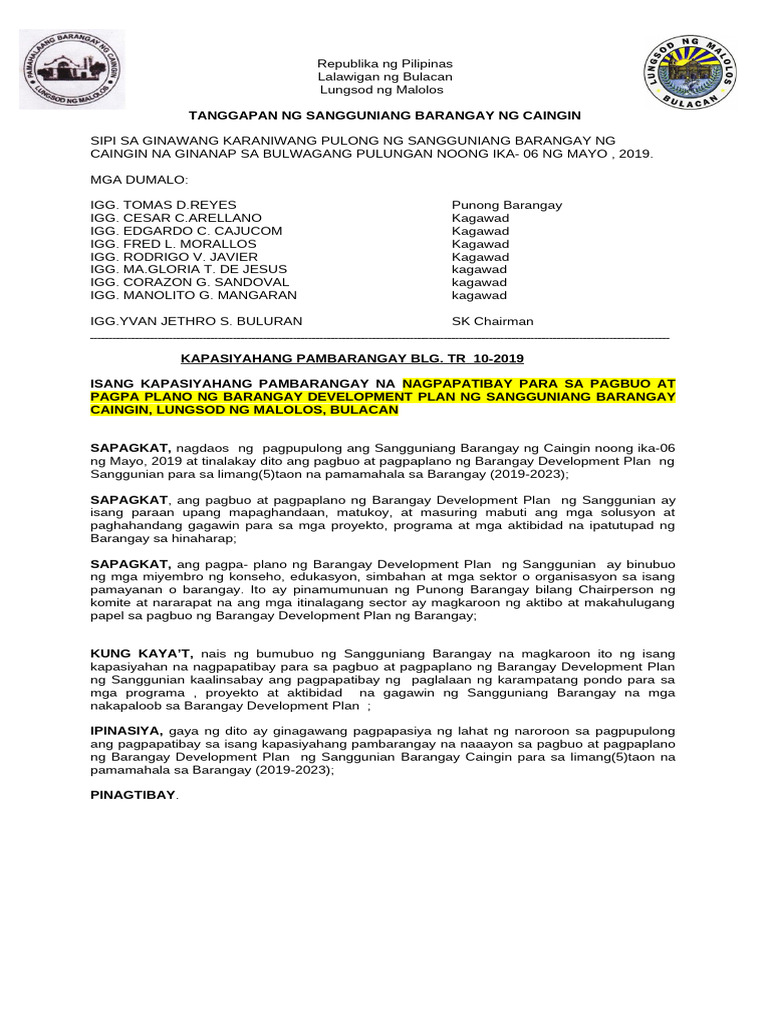 Reso No.10-2019 BDP PLAN ADOPTATION | PDF