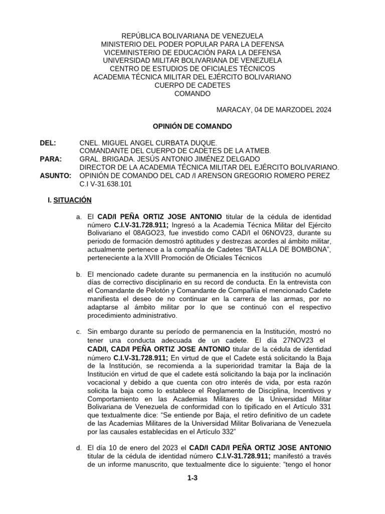 Opinion de Comando | PDF