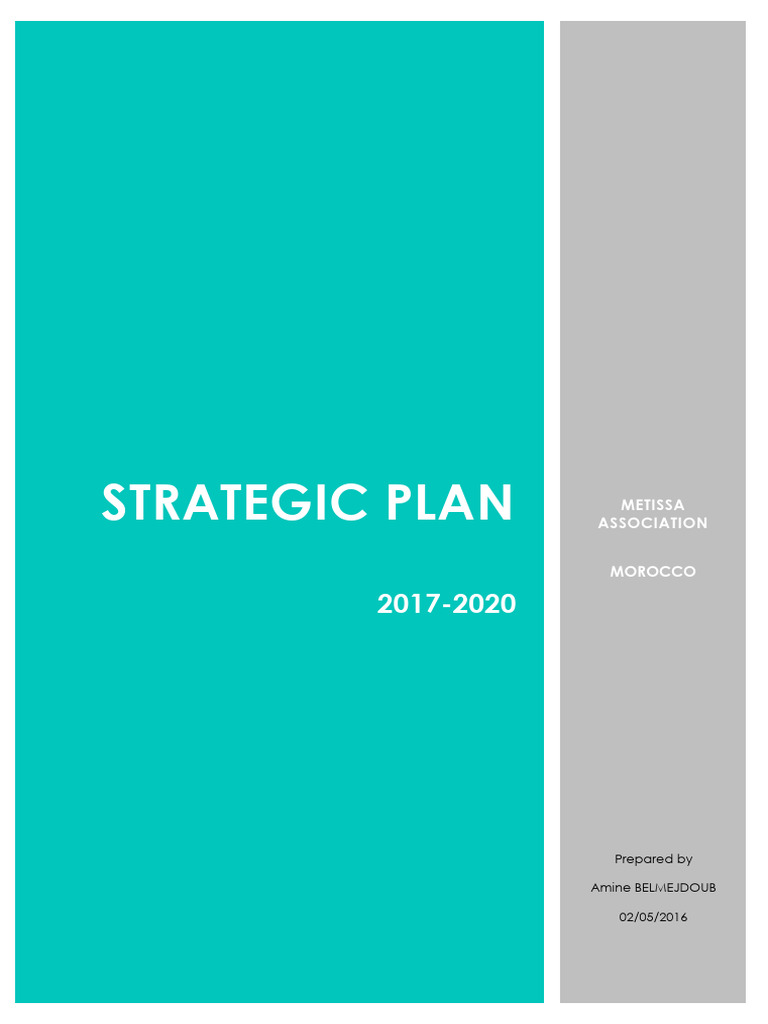 Strategic Plan Metissa Association NGO | PDF