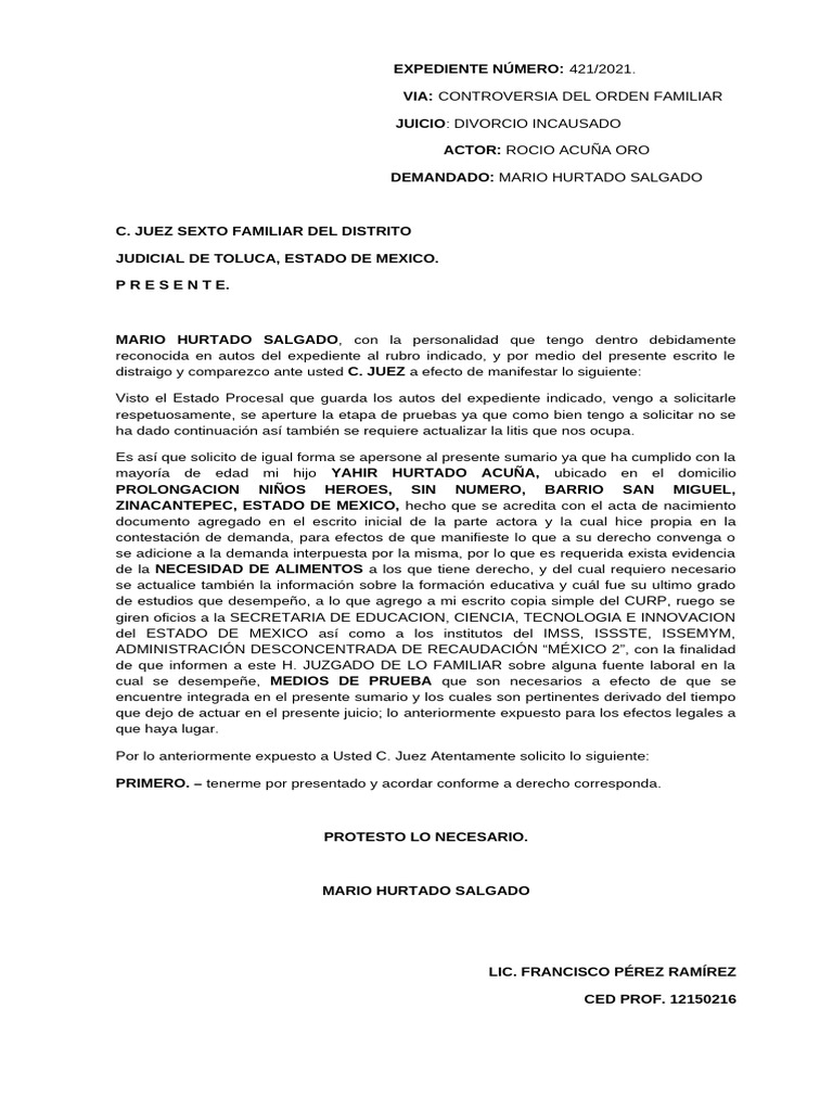 Mario Hurtado Pretenciones | PDF