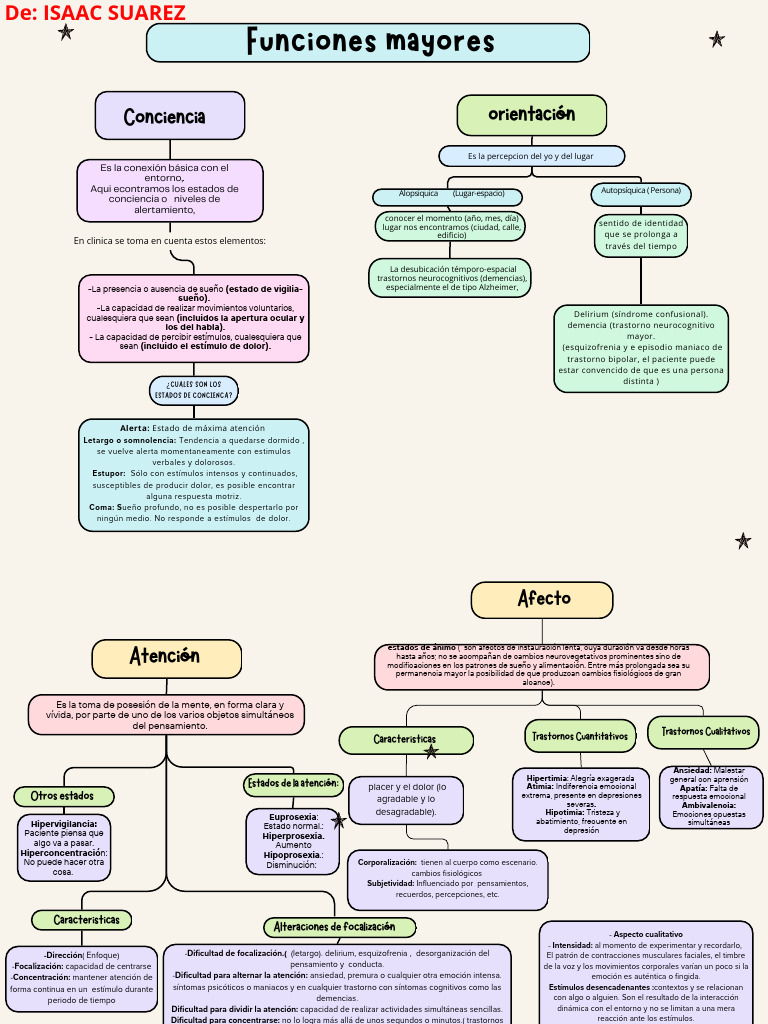 Funciones Mentales | PDF