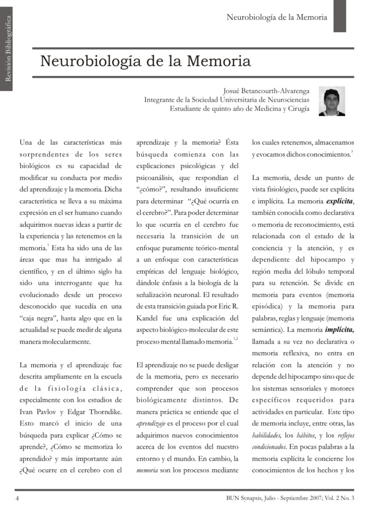 Memoria - Neurociencia | PDF | Memoria | Neuroplasticidad