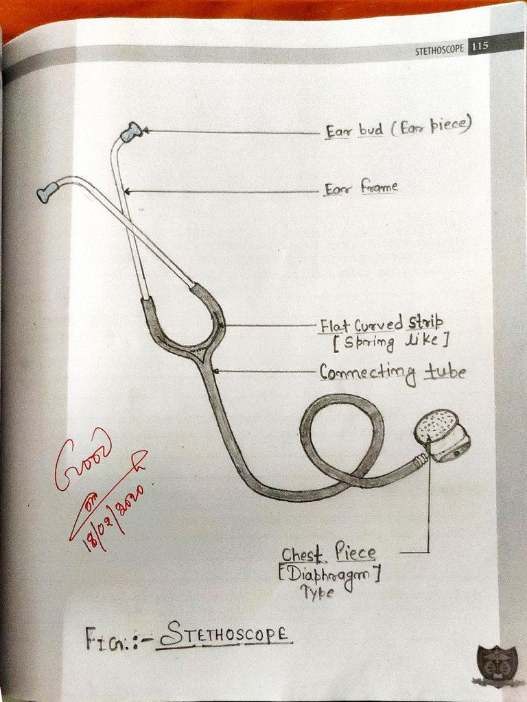 Bipul Sir Pratical First Year File | PDF
