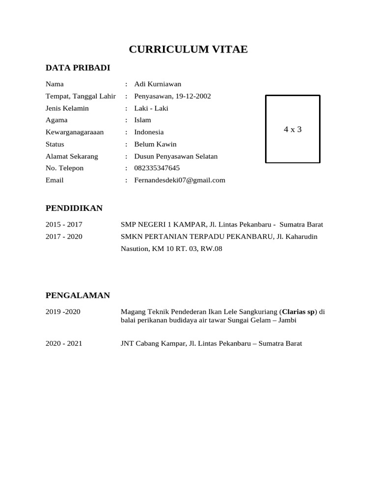 Curriculum Vitae (CV) Adi Kurniawan | PDF