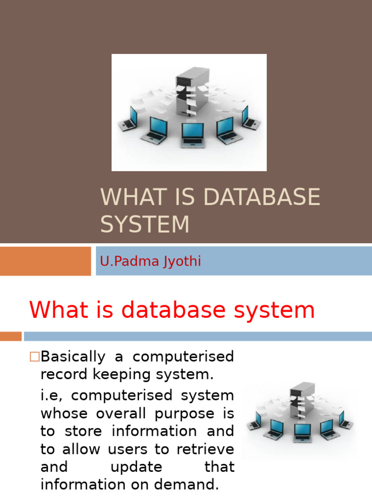 What Is Database System | PDF