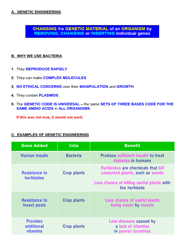 Genetic Engineering and Bacterial Insulin | PDF | Genetic Engineering ...