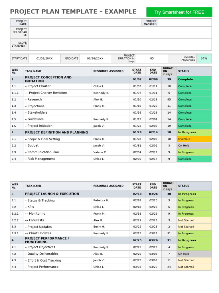 IC Project Plan Example 11799 - WORD | PDF
