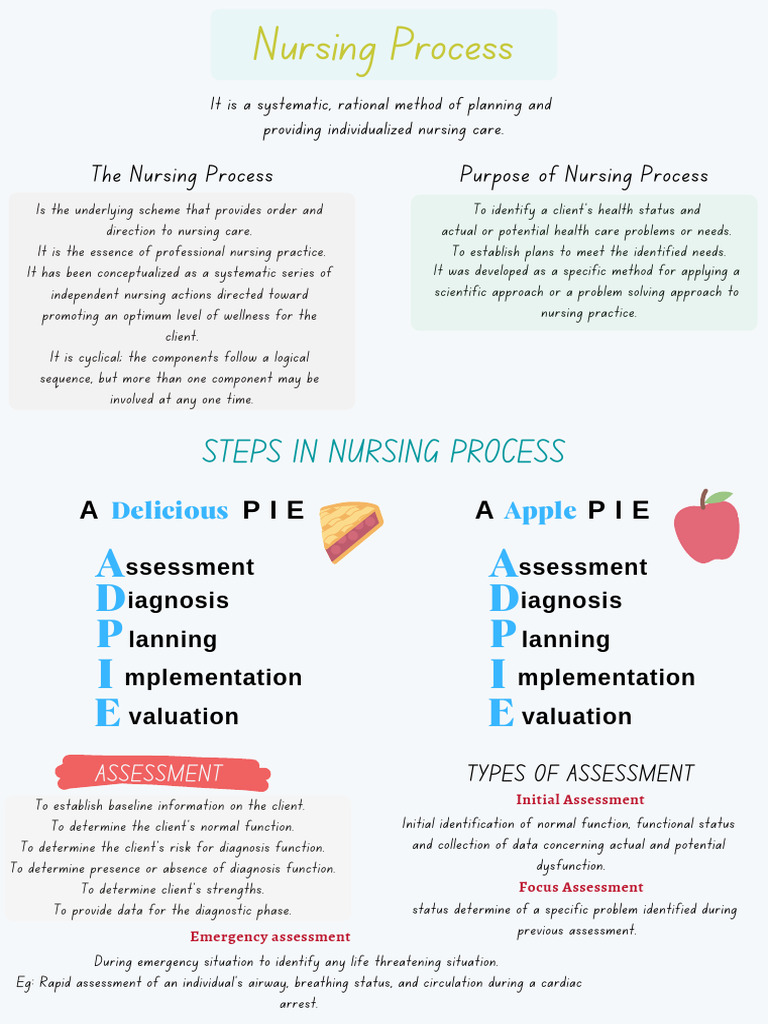 Nursing Process | PDF