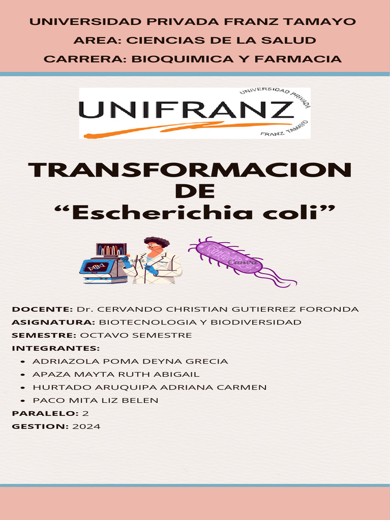 Transformacion E. Coli | PDF