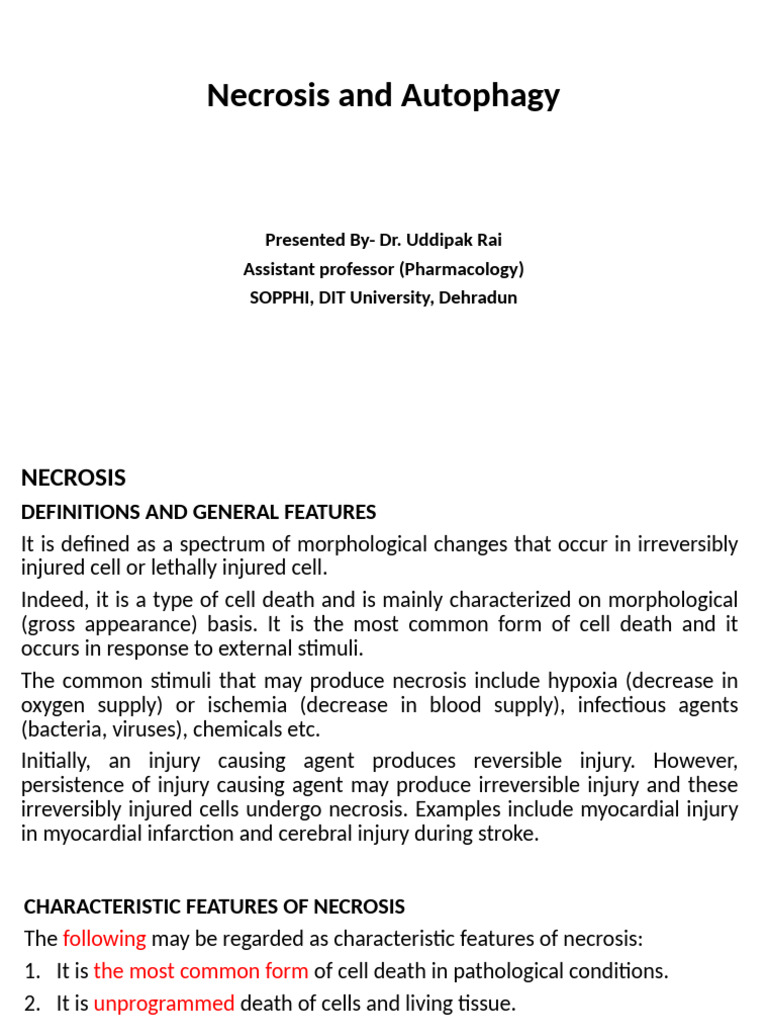 Necrosis and Autophagy | PDF | Autophagy | Necrosis