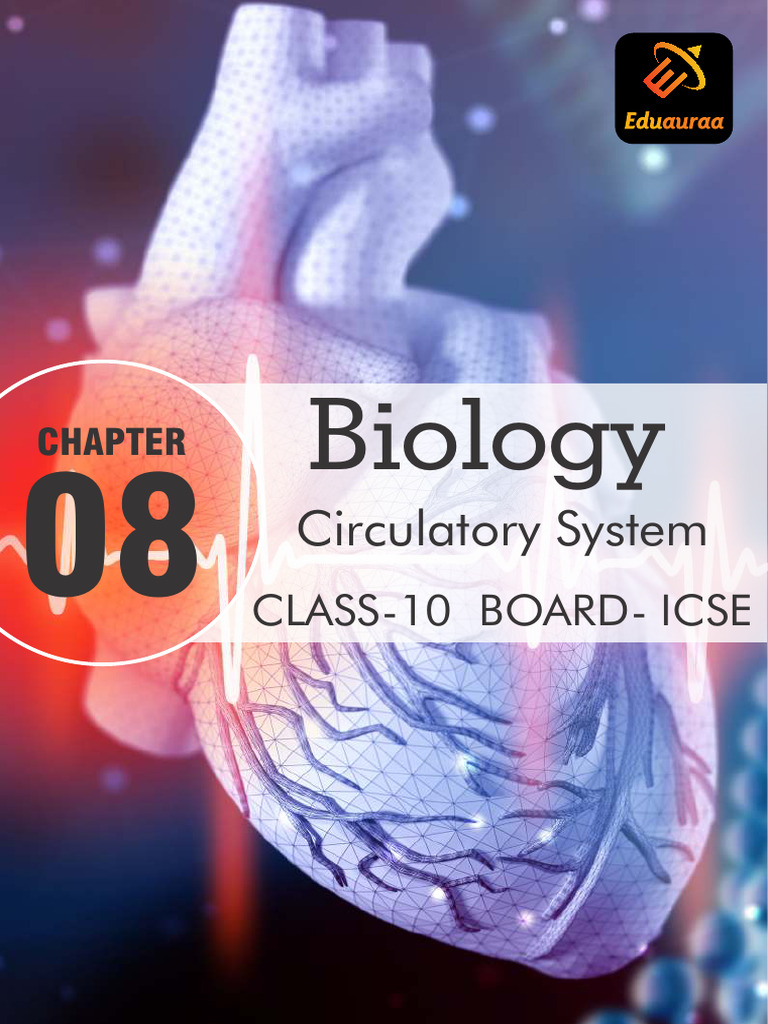 Bio - Circulatory System - X | PDF
