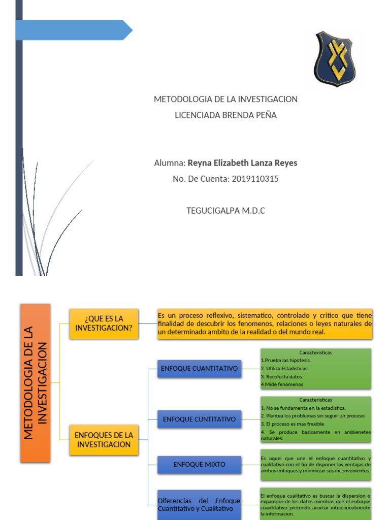 mapa conceptual capitulo 1 y 2 | PDF