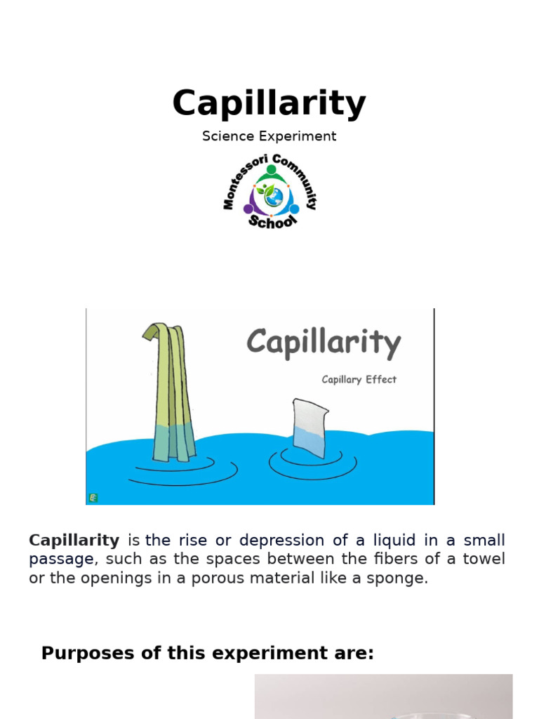 Capillarity | PDF