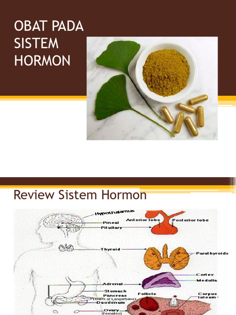 Obat Pada Sistem Hormon | PDF