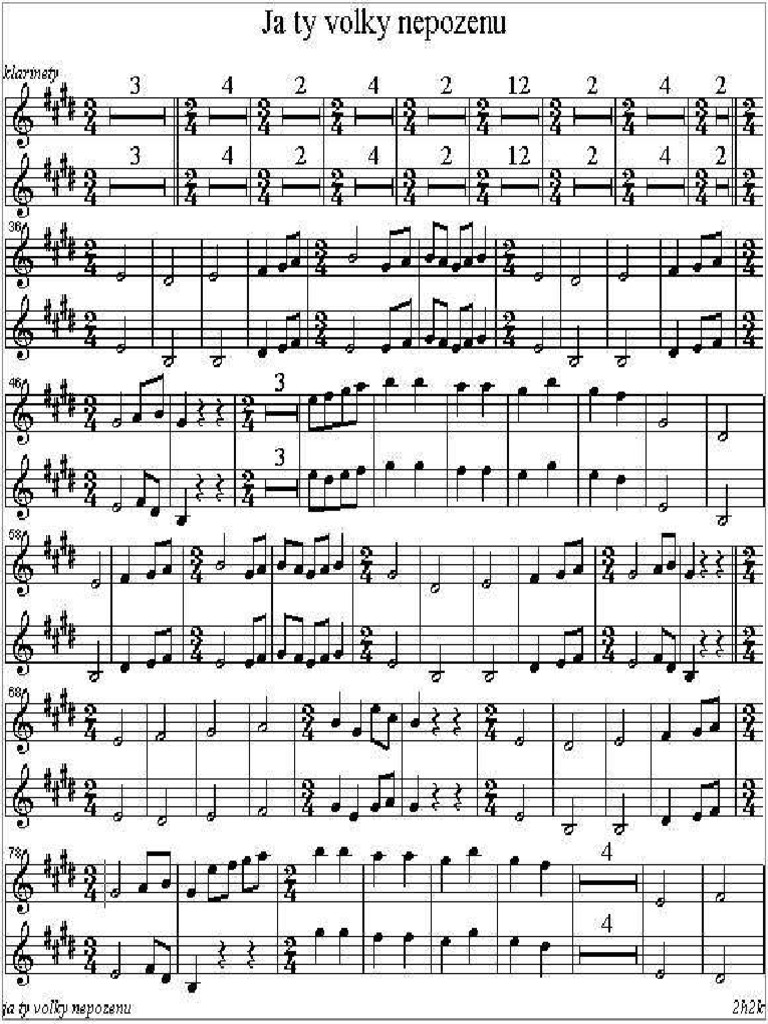 Volky | PDF