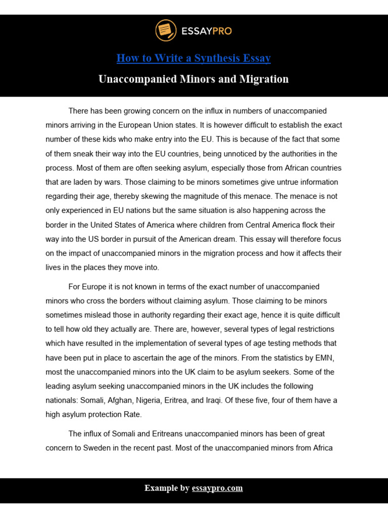 Synthesis Essay Example | PDF