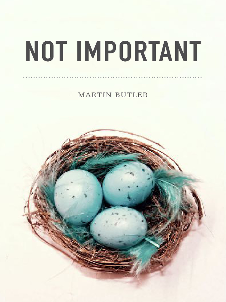 Not Important | PDF