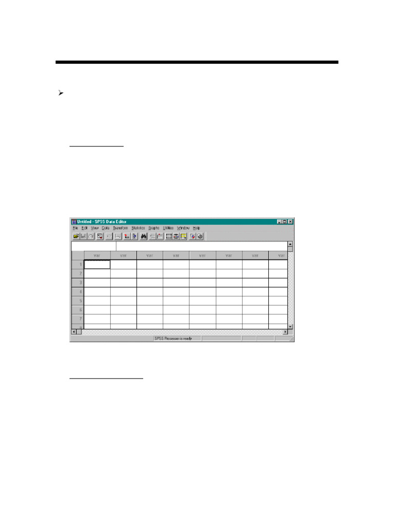 Basics To Intermediate of SPSS | PDF | Spss | Computers