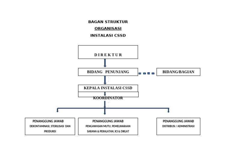 Bagan Struktur Organisasin CSSD | PDF