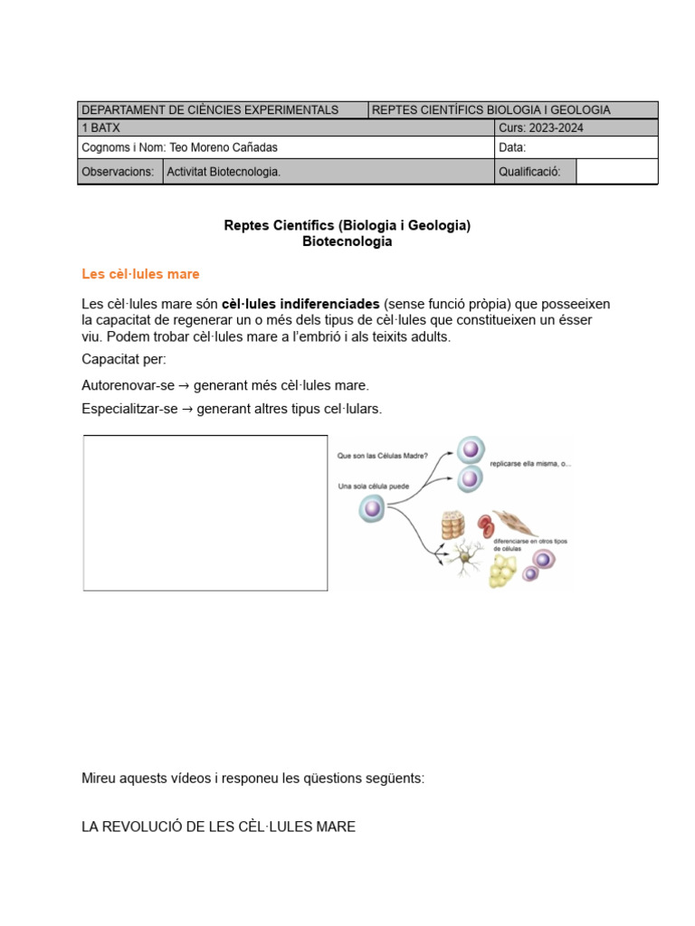 Treball BIO Teo 1A | PDF