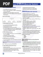 Mbsimp Scale | PDF | Human Throat | Primate Anatomy