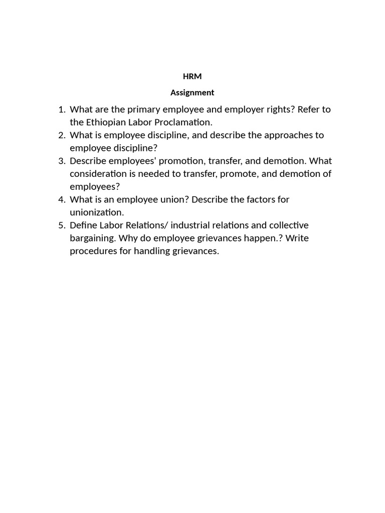 HRM Assignment | PDF