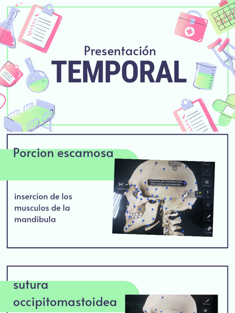 Hueso Temporal | PDF