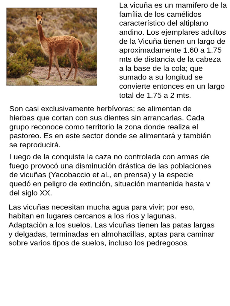 la vicuña | PDF
