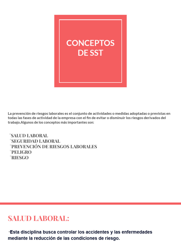 Conceptos de SST | PDF