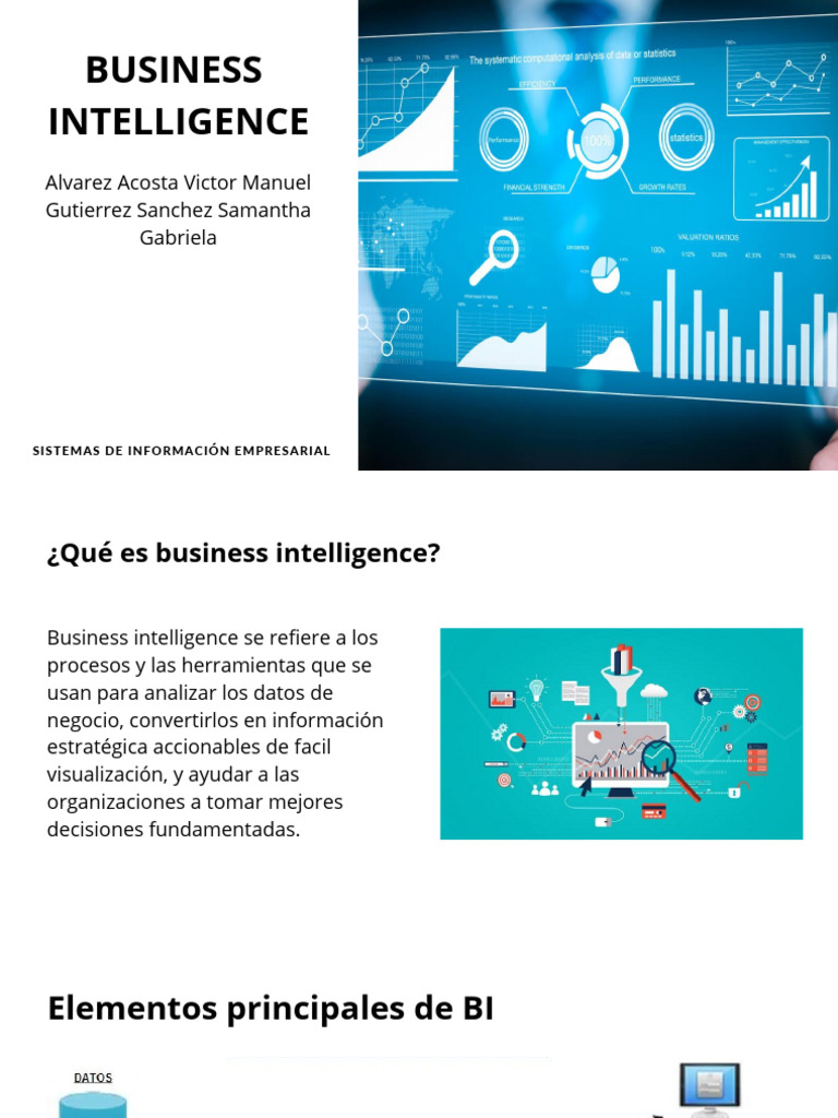 Business Intelligence | PDF