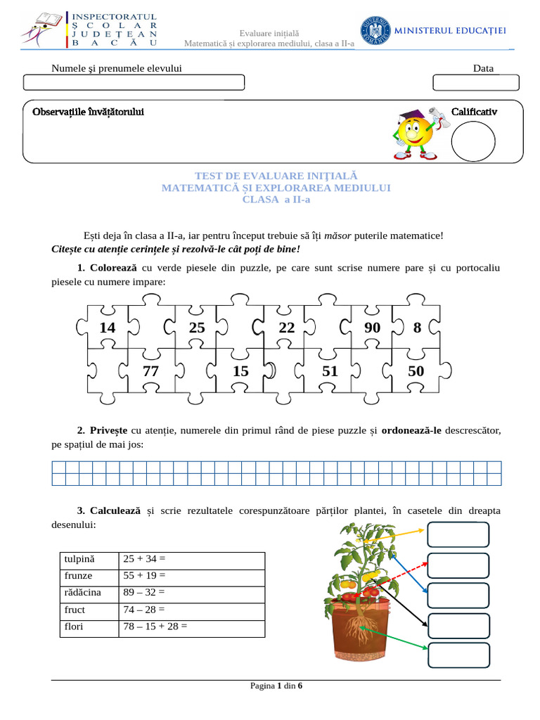 Evaluare Inițială MEM Clasa A II-a | PDF
