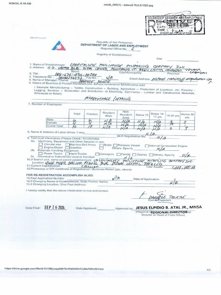 Credit Access Form (1) | PDF